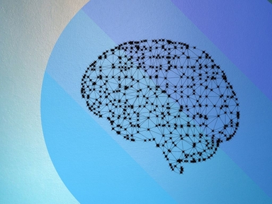 The Limitations of Machine Learning (ML) Algorithms