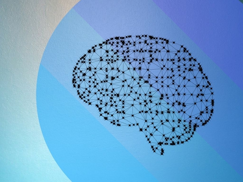 The Limitations of Machine Learning (ML) Algorithms